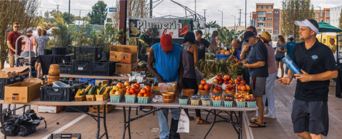 Farmers-Market-vs-Grocery-Store - Frisco Fresh Market Farmers-Market-vs-Grocery-Store - Frisco Fresh Market